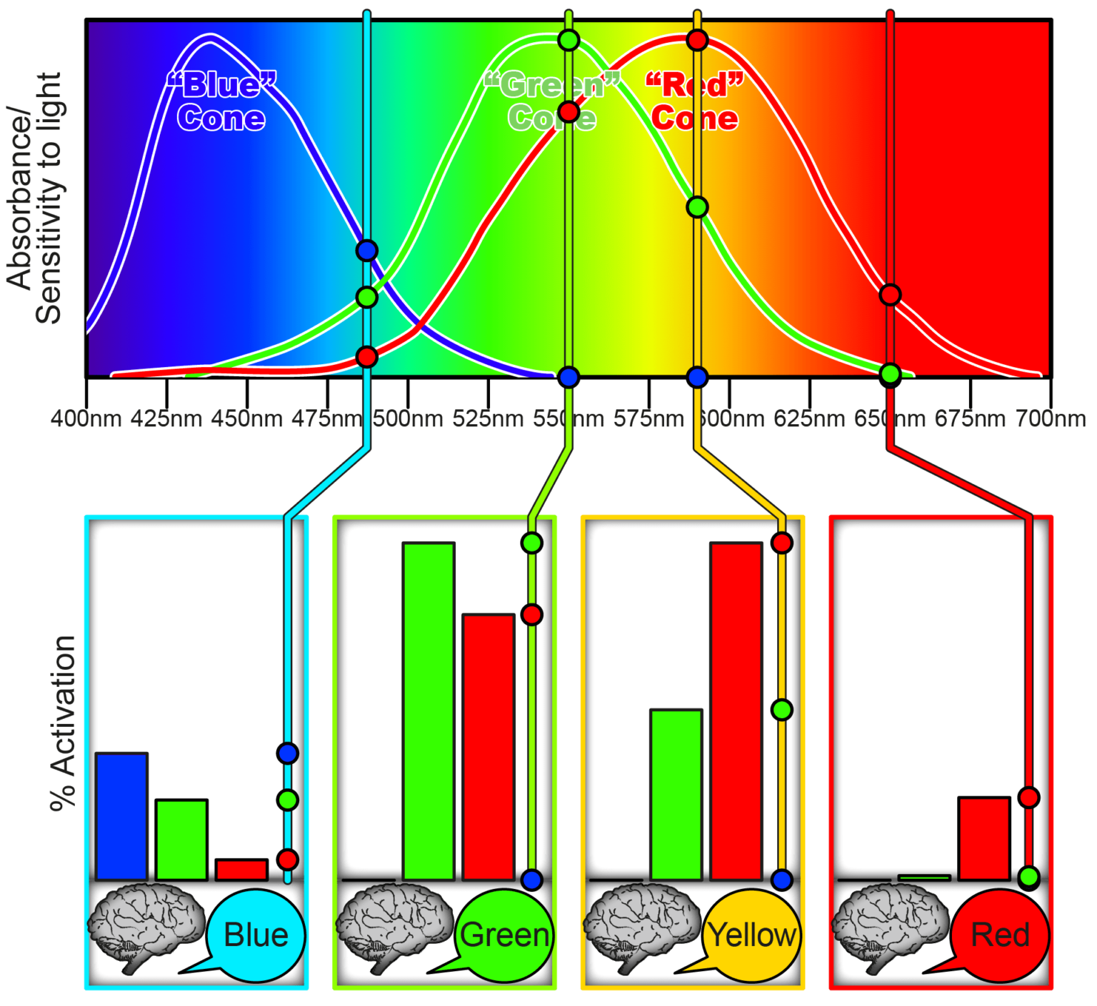 Physics of Color Changing Glass - Kate Baldwin LLC