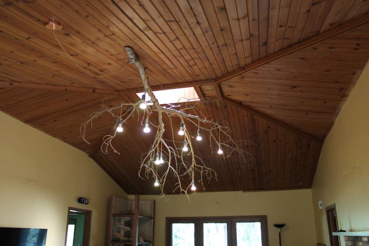 Lighting Fixture Presentation - Kate Baldwin LLC