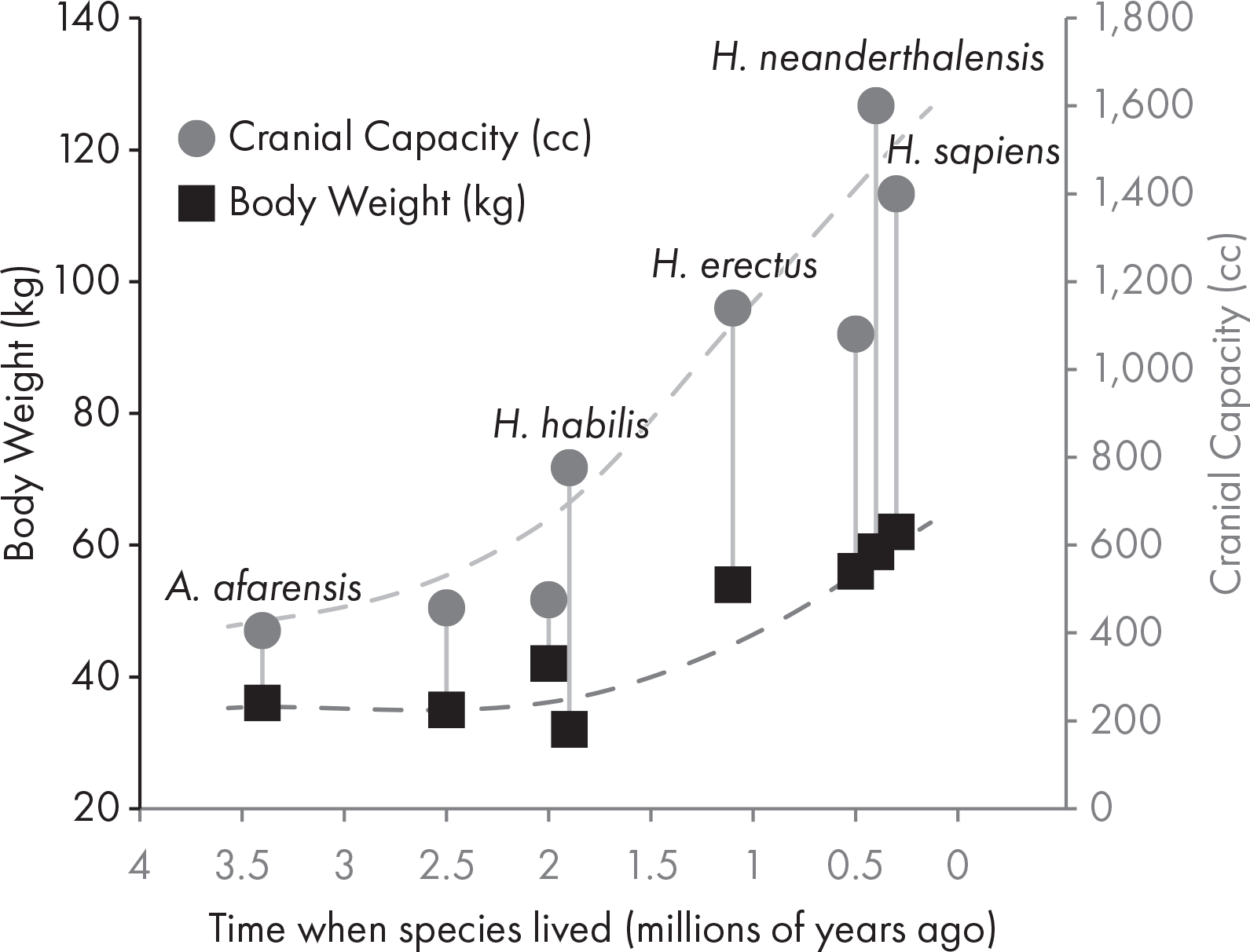 Human Evolution Graphs - Kate Baldwin LLC